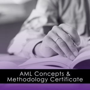 AML Concepts and Methodology - AML-ology